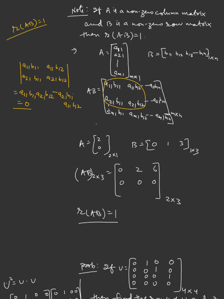 016 Maths Optional by Dhrub Singh Sir ★ Rank of Matrix आव्यूह क | PDF