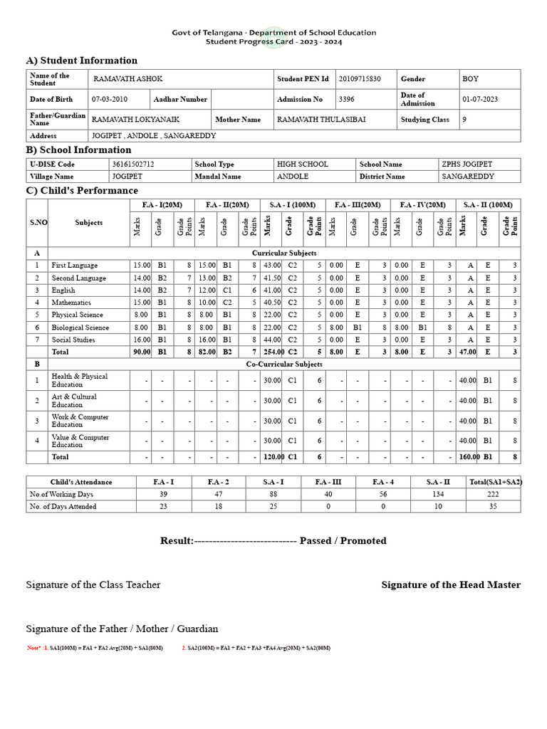Student Performance Report - Class 9 | PDF | Science