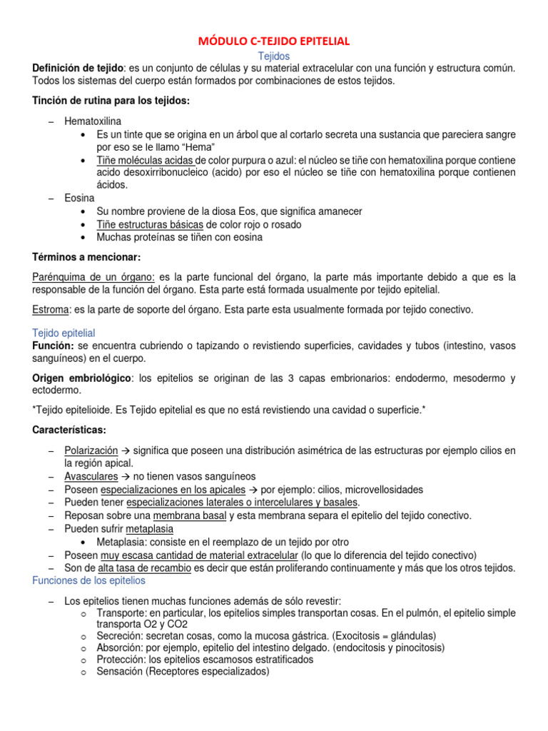 Histología - MODULO C | PDF | Epitelio | Adhesión celular