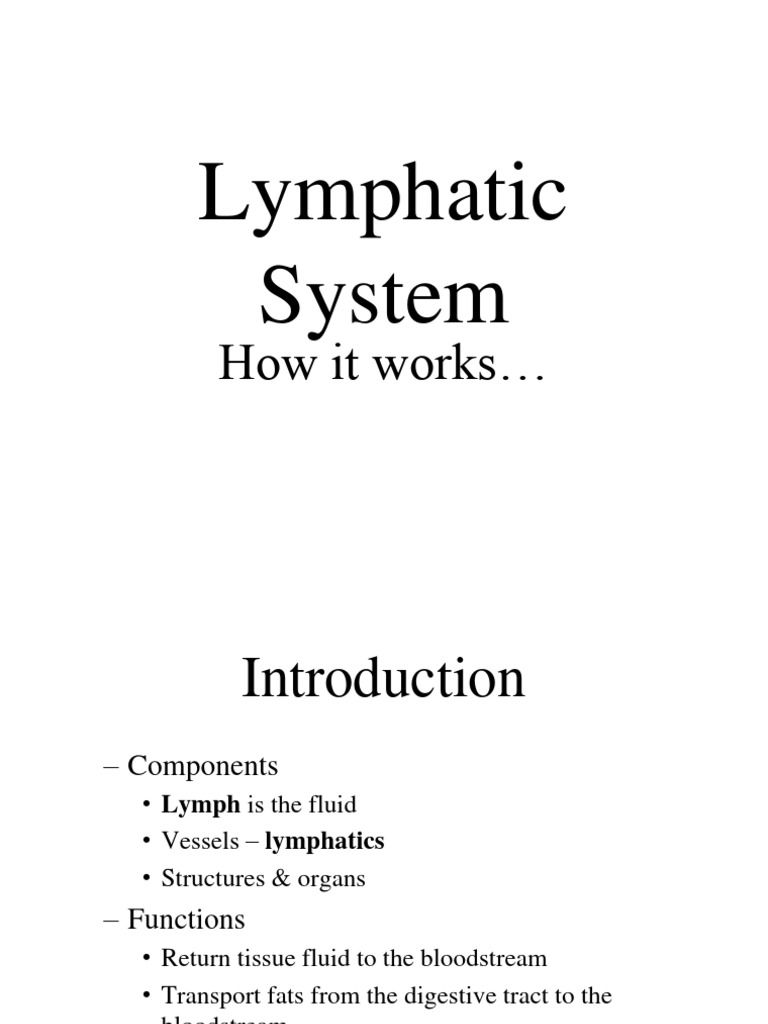 Lymphatic System Pdf Lymphatic System Lymph Node