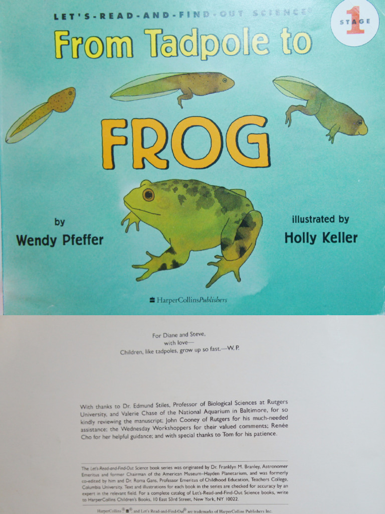 Frog | PDF