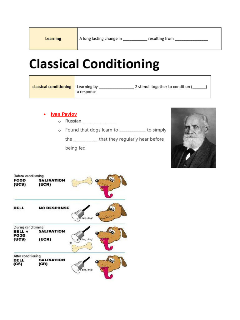 Learning AP Psychology | Download Free PDF | Classical Conditioning | Reinforcement