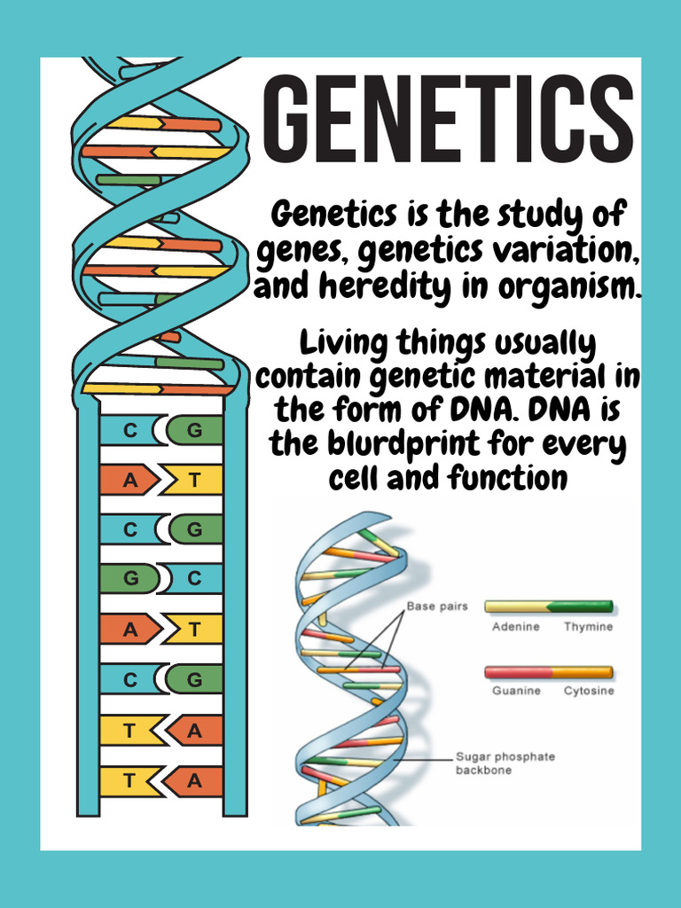 Genetic | PDF | Science & Mathematics