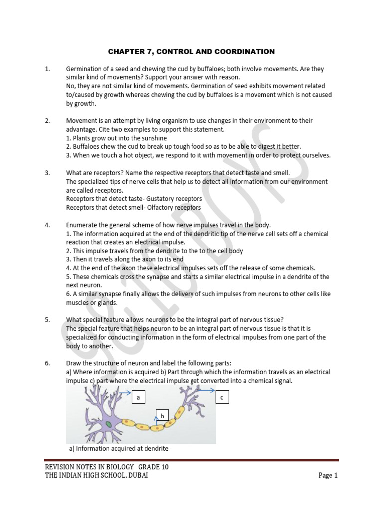 CHAPTER 7, CONTROL AND CO ORDINATION PDF | PDF | Neuron | Nervous System