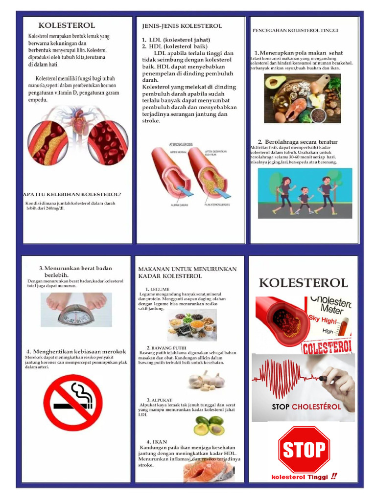Leaflet Kolesterol | PDF