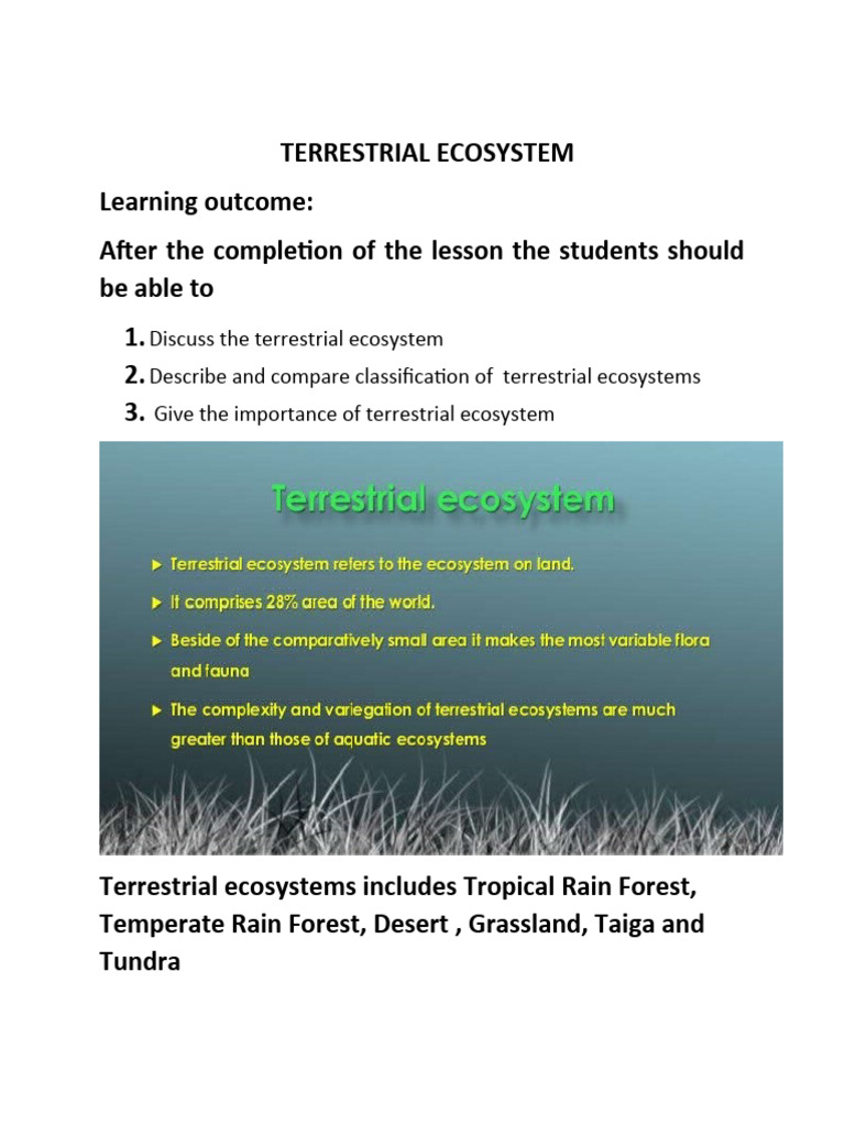 Overview of Terrestrial Ecosystems | PDF | Rainforest | Grassland