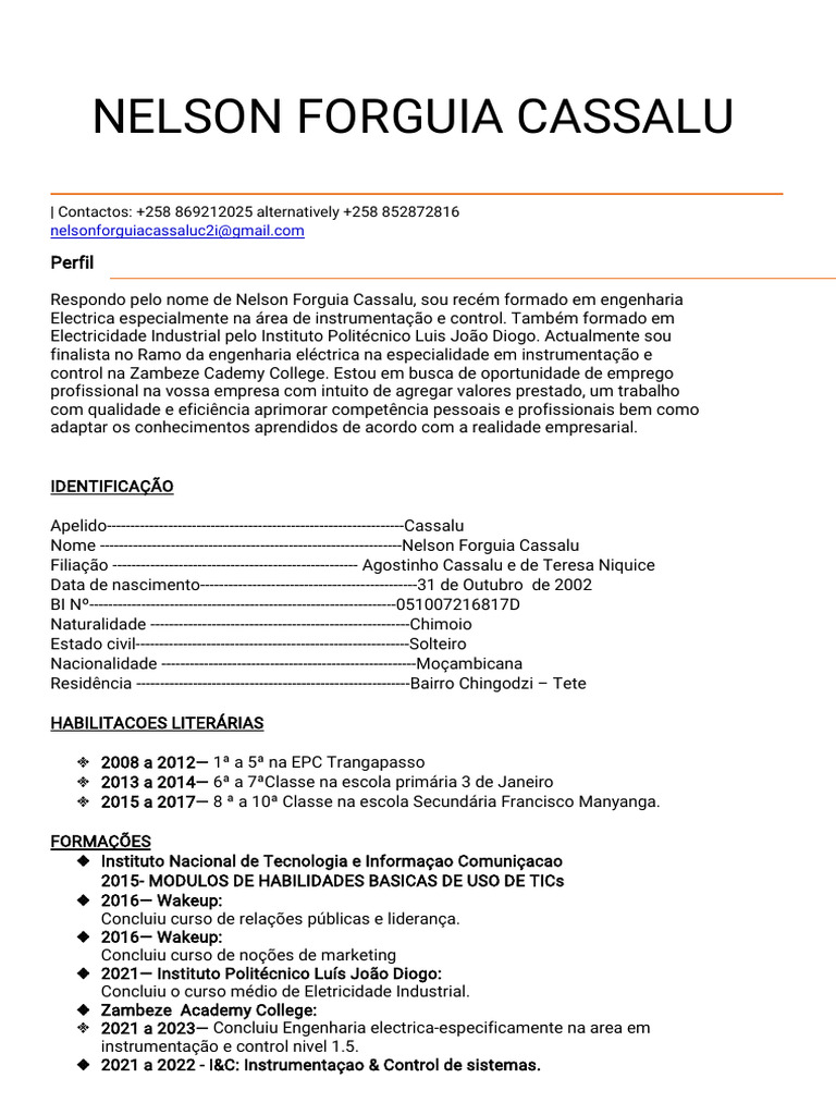 Nelson CV Updated1DECEMBER | PDF | Engenharia