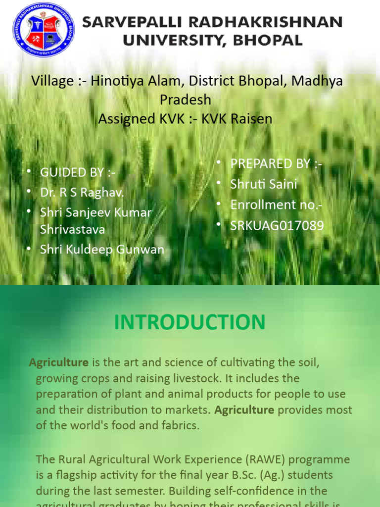 Agriculture at A Glance in MP | PDF | Agriculture | Soybean