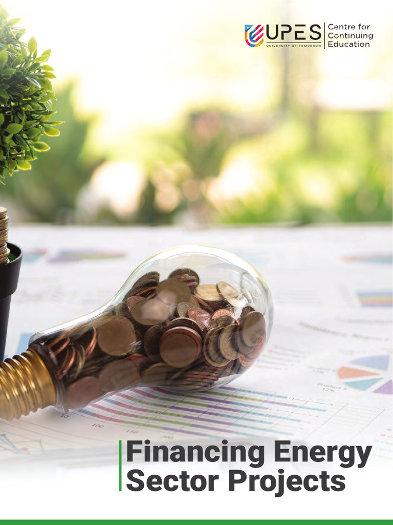 Financing Energy Sector Projects | PDF | Risk | Risk Management
