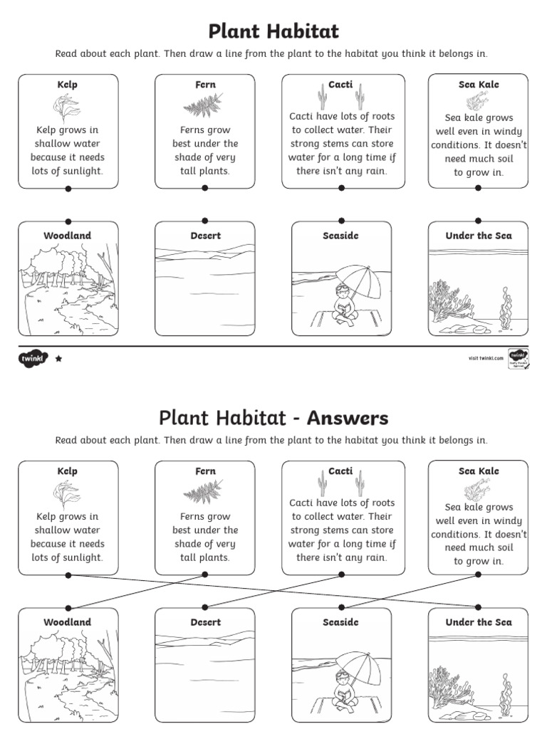 T SC 435 ks1 All About Plant Habitats Differentiated Activity Sheets ...