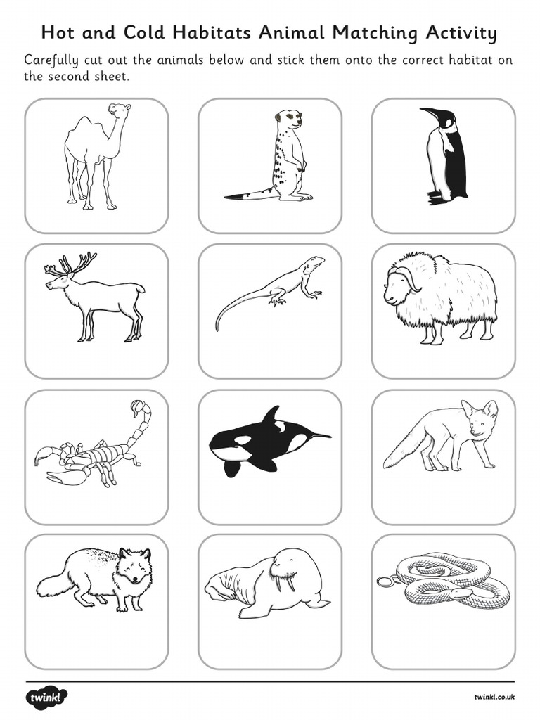 T SC 125 Hot and Cold Habitats Animal Sorting Activity Sheet - Ver - 2 ...