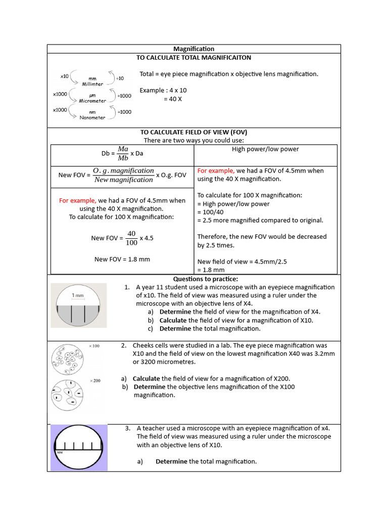 Data Test Revision Sheet Biology QCAA YR 11 Unit 1 | PDF | Enzyme ...