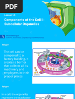Cell Analogy Project - Computers | PDF | Cell Nucleus | Cell (Biology)
