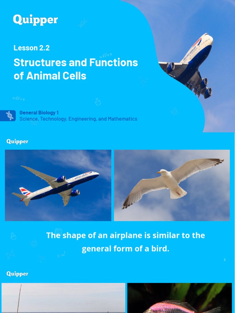 General Biology, Lesson 2.2 | PDF | Epithelium | Tissue (Biology)