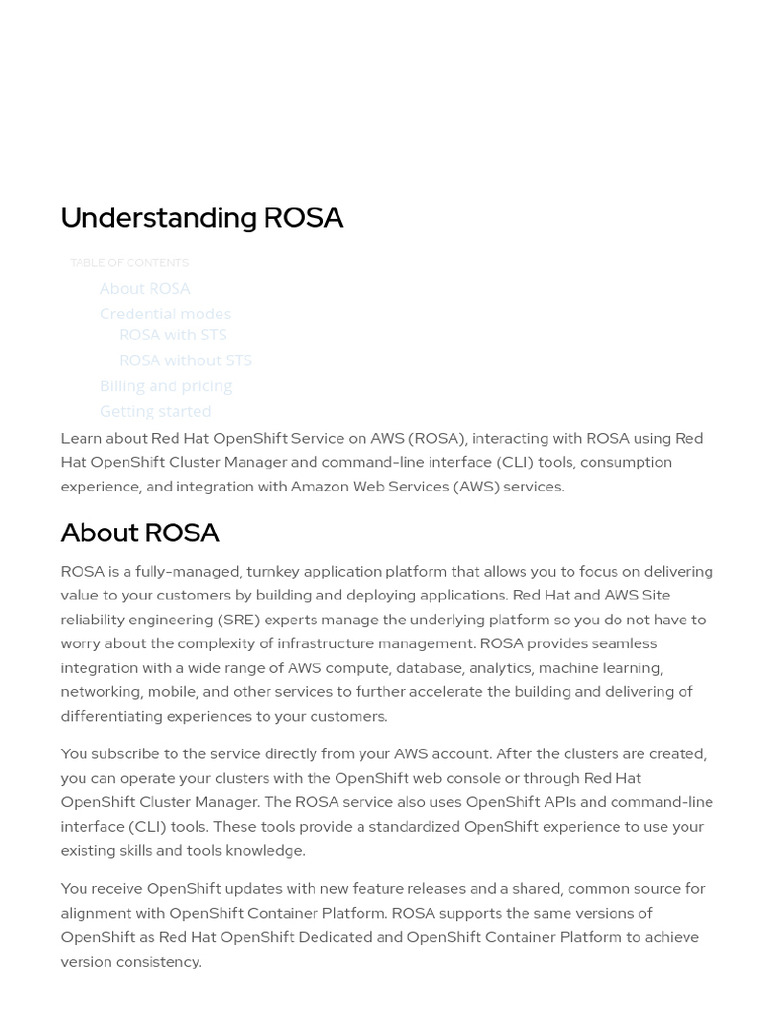 Rosa Architecture Rosa-Understanding | PDF