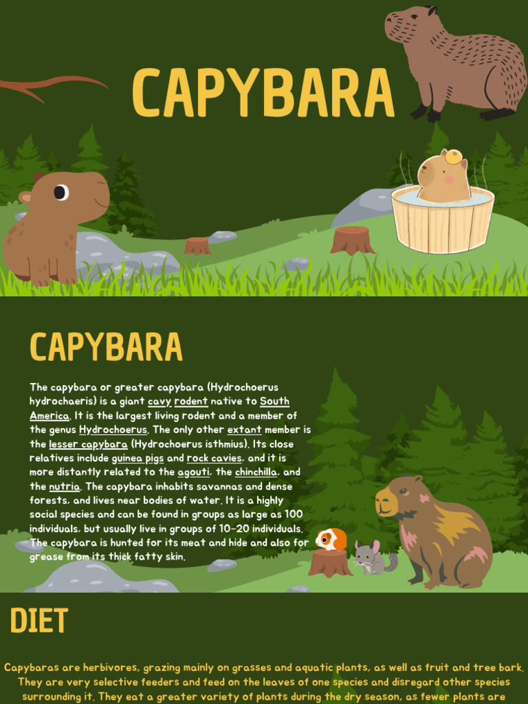 CAPYBARA | PDF