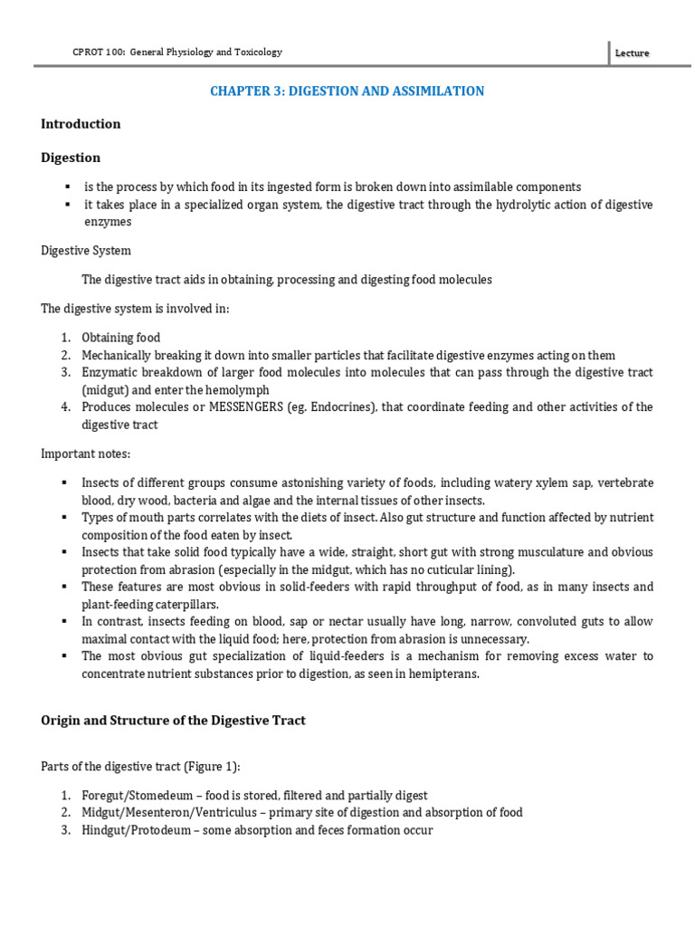 Chapter 3. Digestion and Assimilation | PDF | Digestion ...
