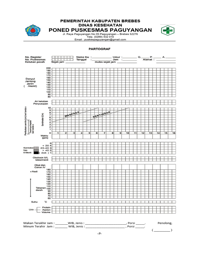 Contoh Partograf Persalinan Brebes | PDF