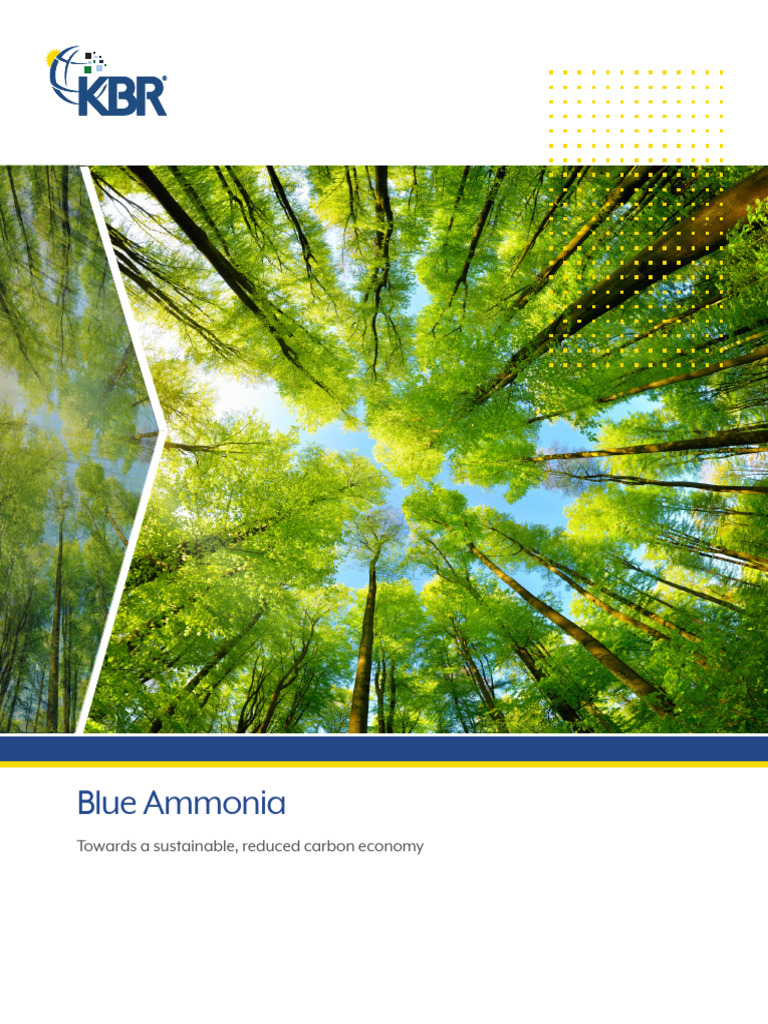 Blue Ammonia Brochure | PDF | Carbon Capture And Storage | Ammonia