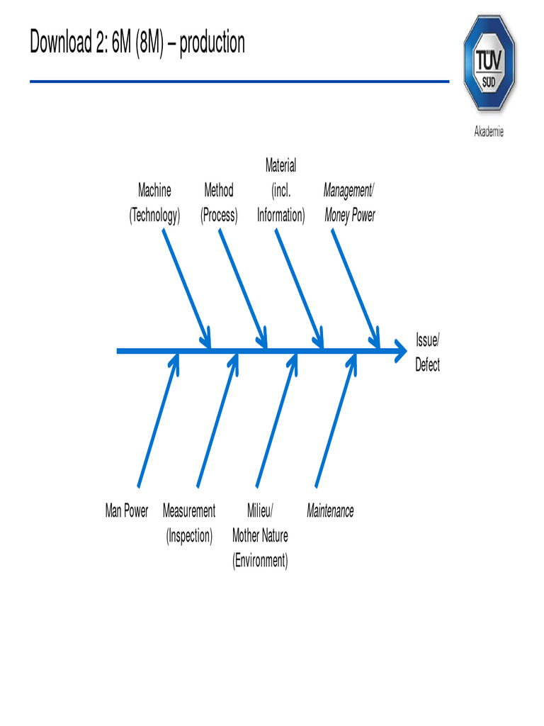 6M (8M) - Production | PDF