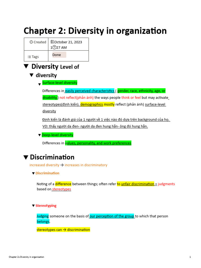 Chapter 2 Diversity in Organization | PDF