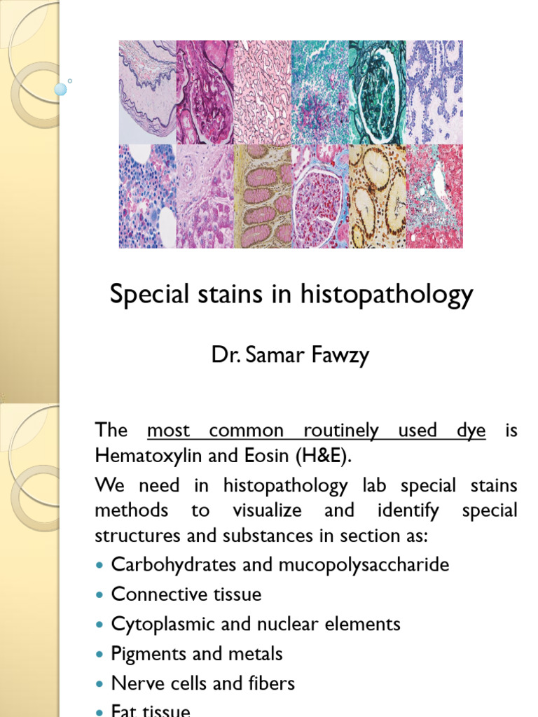 4-Special Stains | PDF | Staining | Microscopy