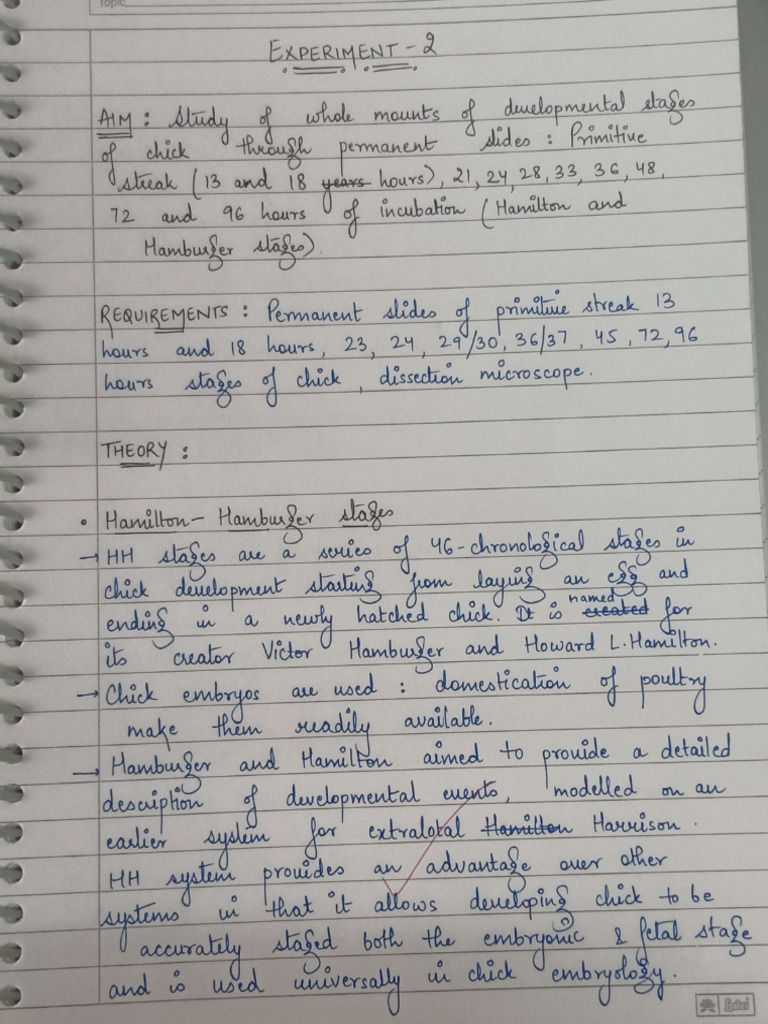 Chick PDF Final - Compressed (1) - 1 | PDF