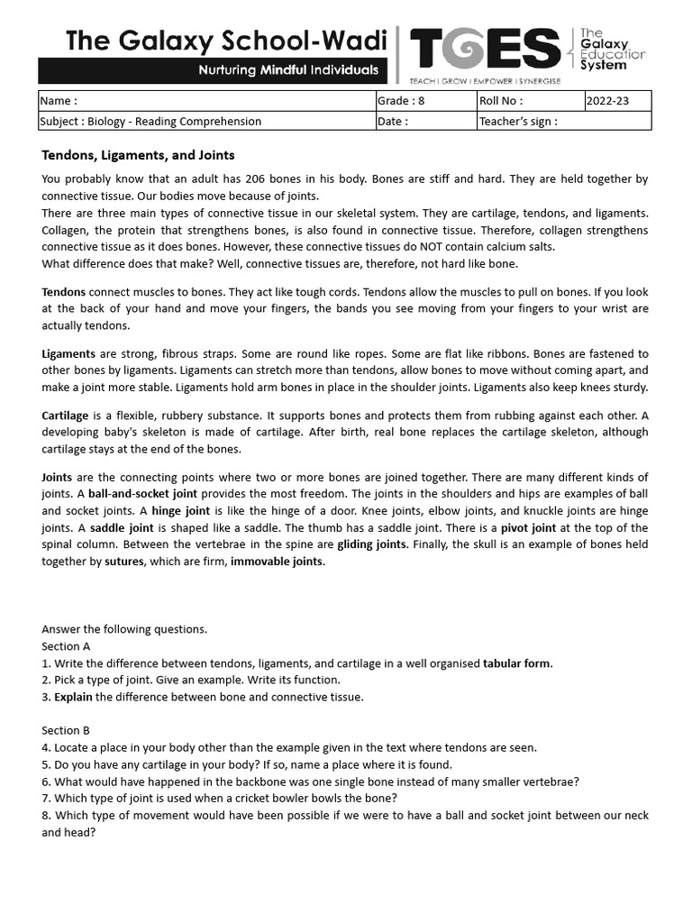 Biology - Reading Comprehension | PDF | Connective Tissue | Bone