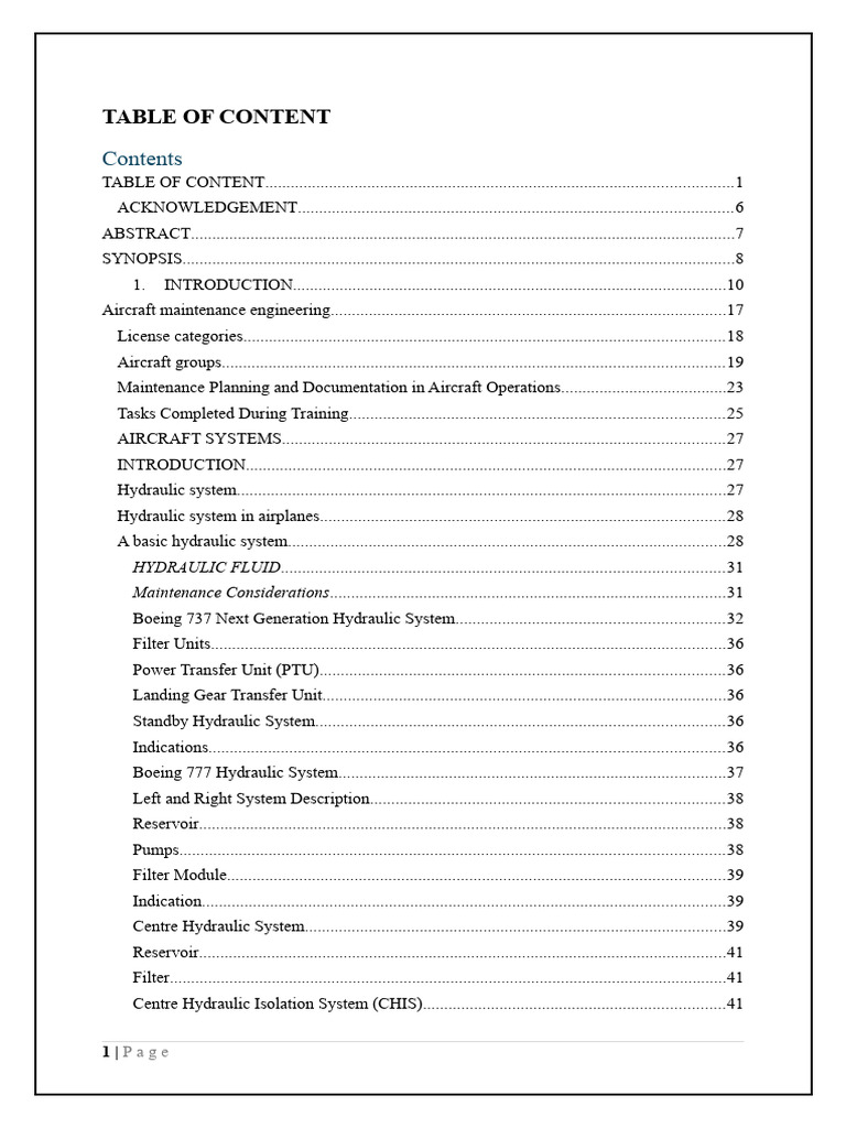Final Year Report | PDF | Aviation