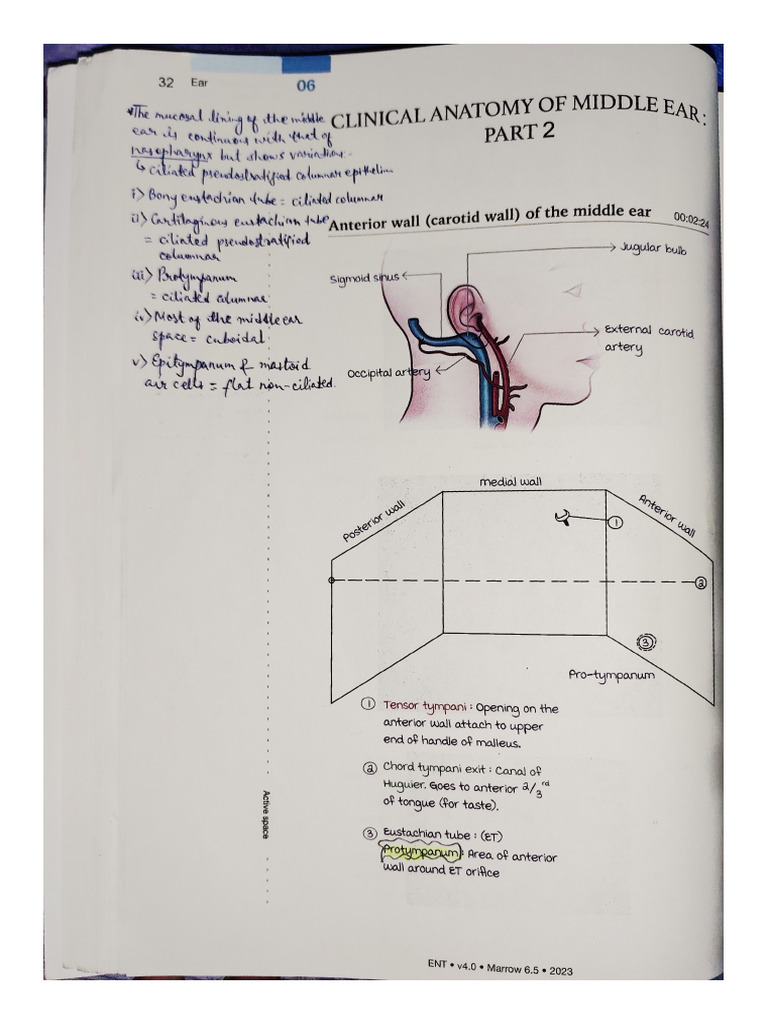 Clinical Anatomy Of Middle Ear Part 2 Pdf