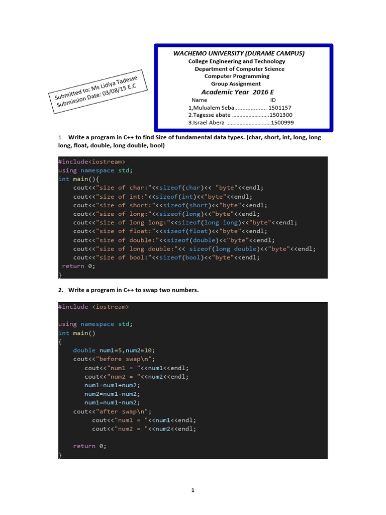 C Assignment Mulualem And Pdf Namespace Software Development