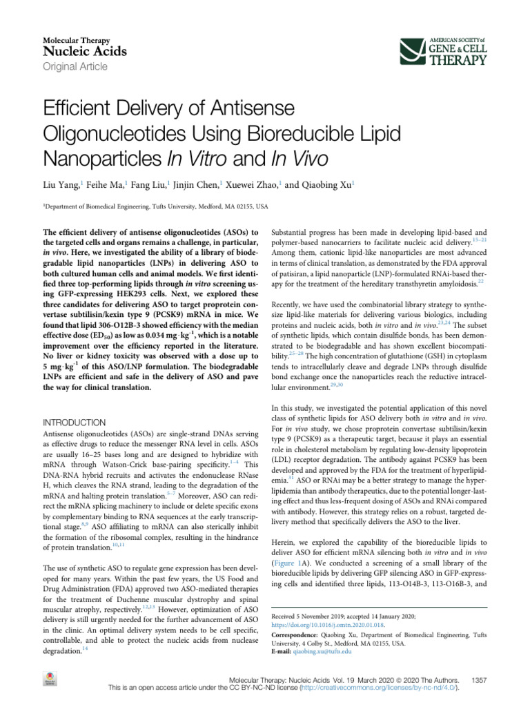 Efficient ASO Delivery via Lipid 306-O12B-3 | PDF | Oligonucleotide ...