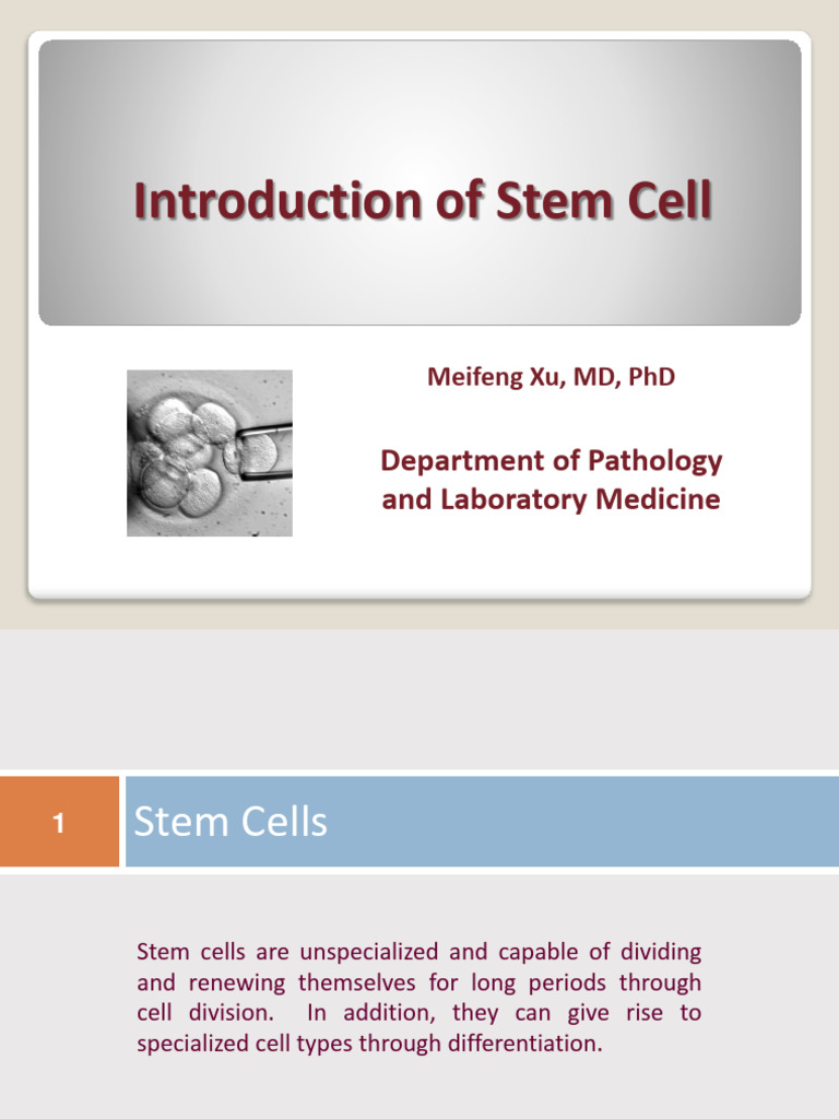 OLLI Stem Cell | PDF | Embryonic Stem Cell | Stem Cell
