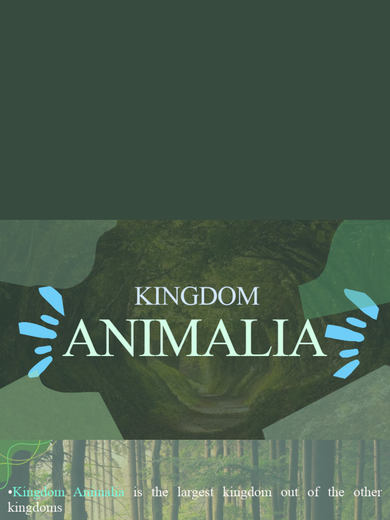 Kingdom Animalia | PDF | Science & Mathematics