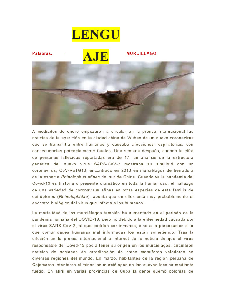 El Murcielago Pdf Virus Murciélago