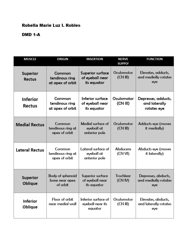 General Anatomy 2 Lab 2 | PDF | Facial Features | Human Eye