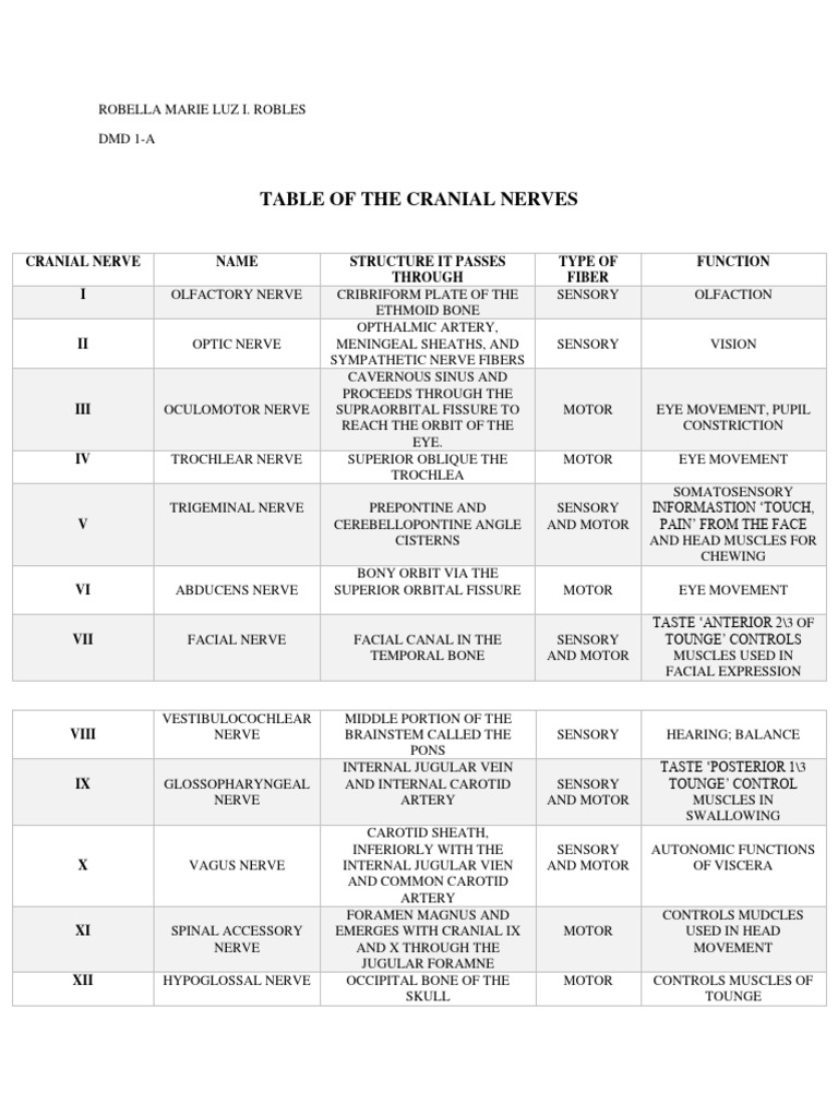 Table of Cranial Nerves 2 | PDF | Neuroanatomy | Otorhinolaryngology