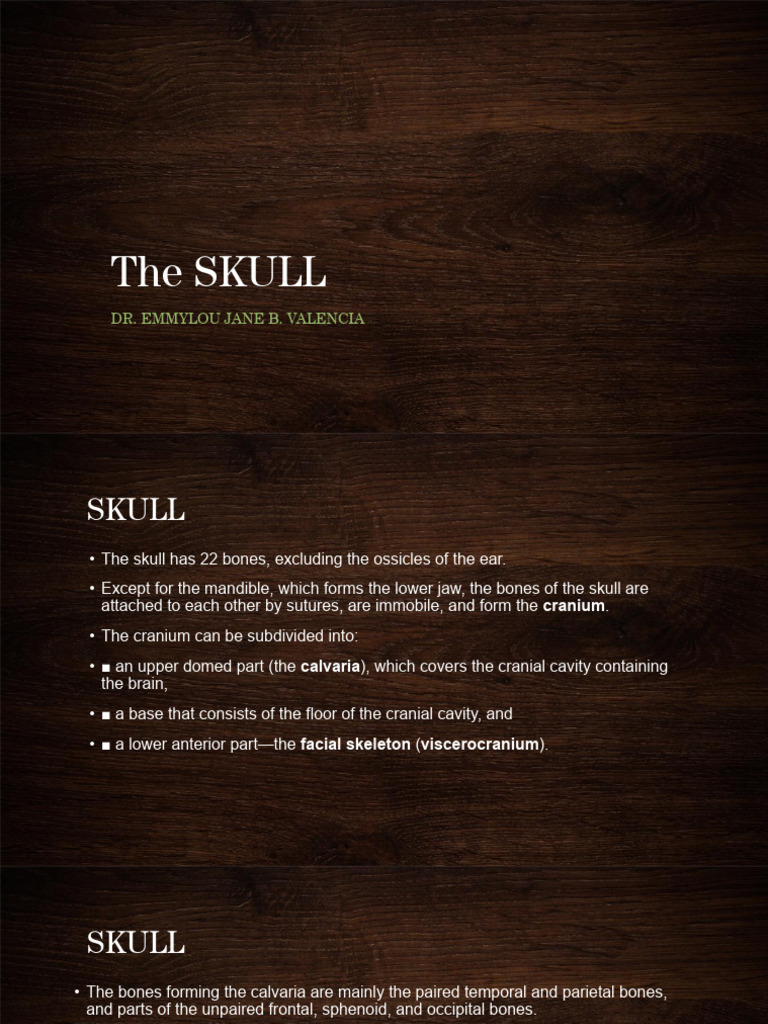 The SKULL | PDF | Skull | Human Anatomy