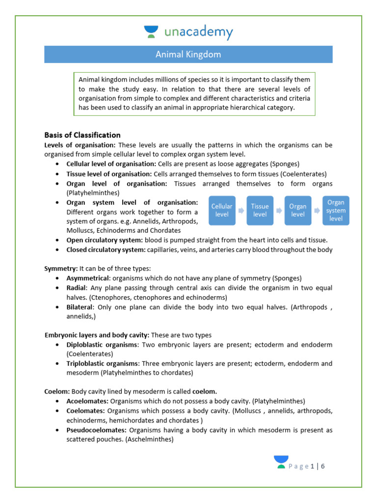 Formula-Sheet-Animal-kingdom-1 | PDF | Sponge | Zoology
