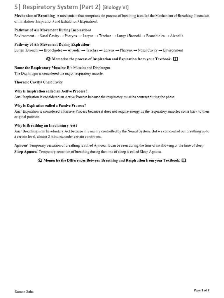 Respiratory System Part 2 | Download Free PDF | Respiratory Tract ...