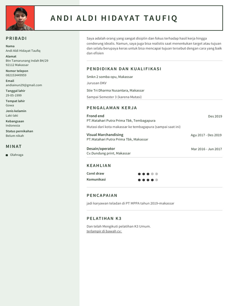 CV Andi Aldi: Desain & Visual | PDF