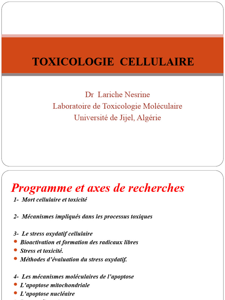 Chapitre 1 Mort Cellulaire Et Toxicité | PDF | Apoptose | Cellule ...