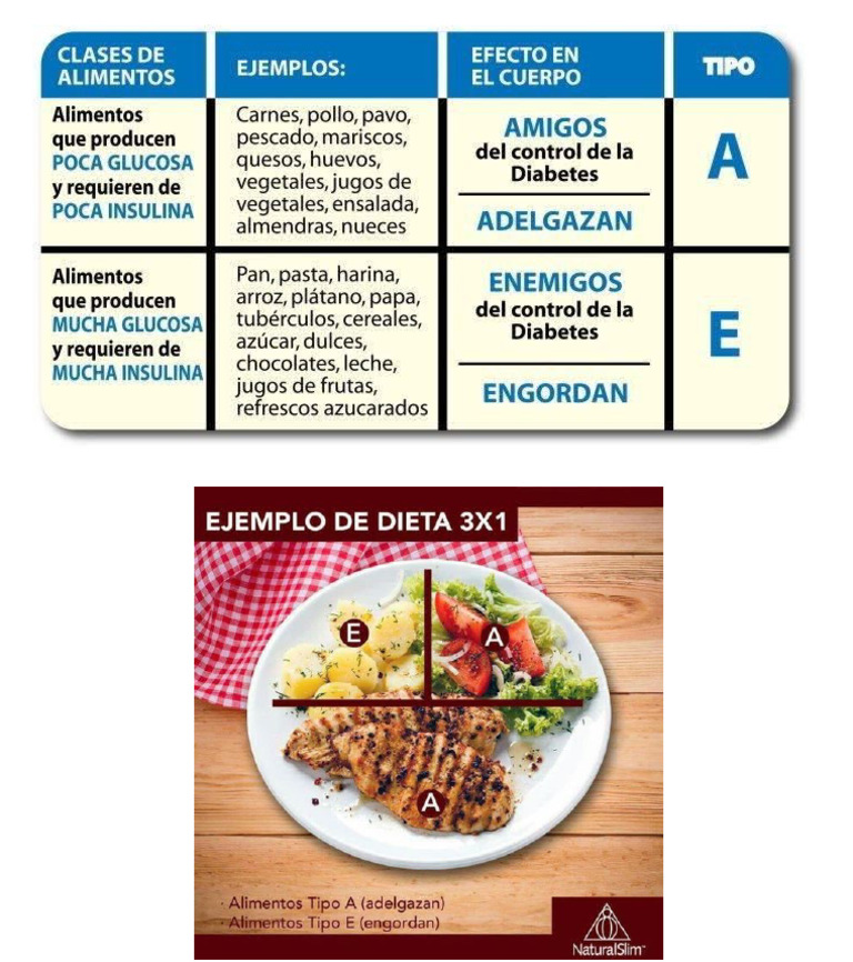 Dieta 3X1 | PDF