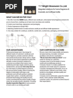 Emhart Inspection Defect Guide | PDF | Fracture | Glasses