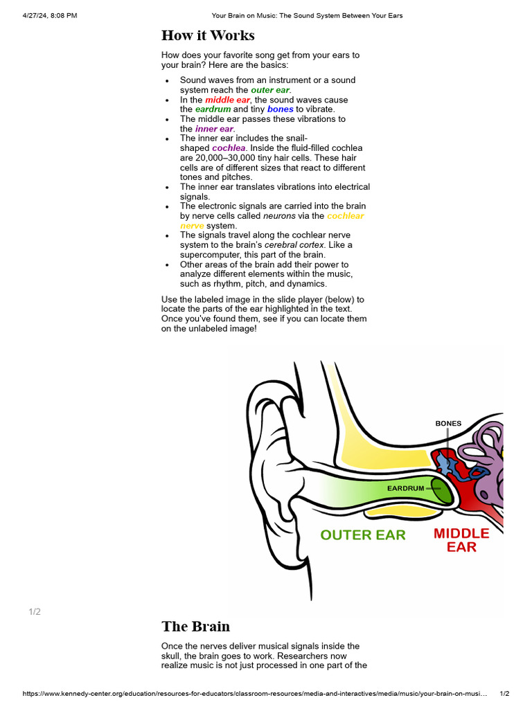 Your Brain On Music - The Sound System Between Your Ears 2 | PDF | Ear ...
