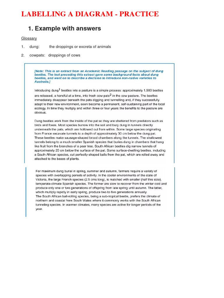 LABELLING A DIAGRAM - Practice (At Class) | Download Free PDF | Yolk | Egg