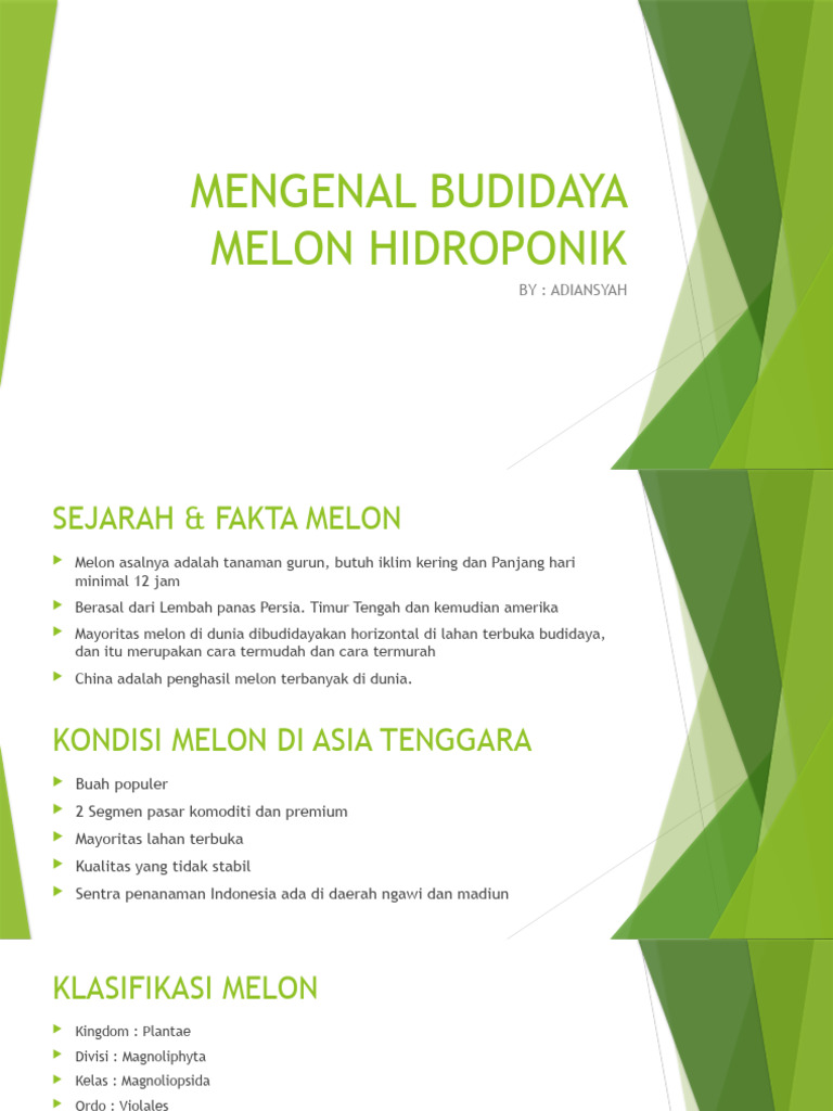 Mengenal Budidaya Melon Hidroponik Adiansyah | PDF