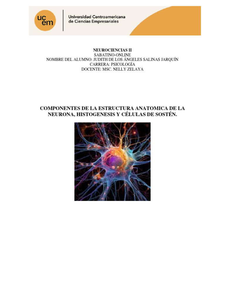 Ensayo, Neuronas | PDF | Neurona | Axon