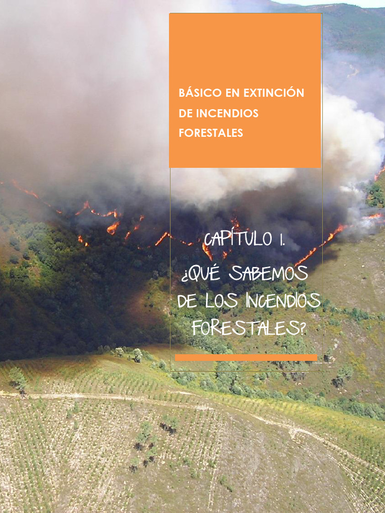 Capítulo - 1. Introducción A Los Incendios | PDF | Fuego fatuo | Incendios