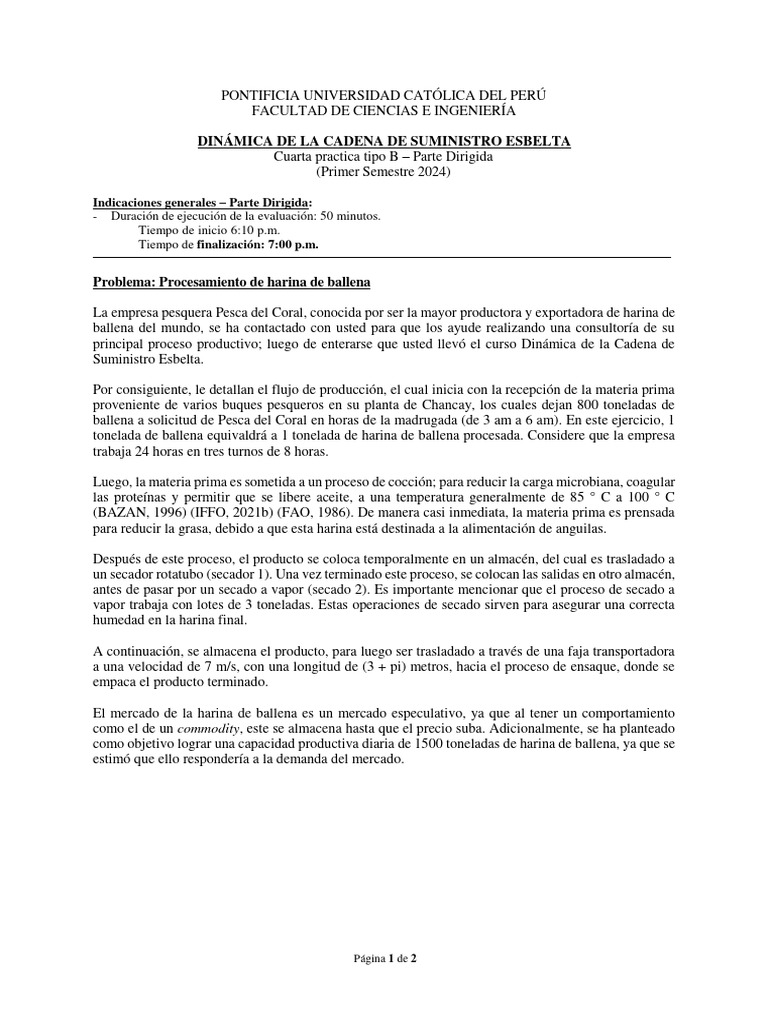 PD4 Flexsim 2024-1 | PDF